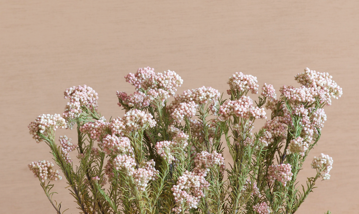 How Long Do Dried Flowers Last? Everything You Need to Know– Entu